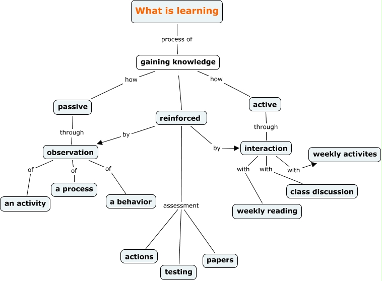 Cmap 1 (practice) - What is learning